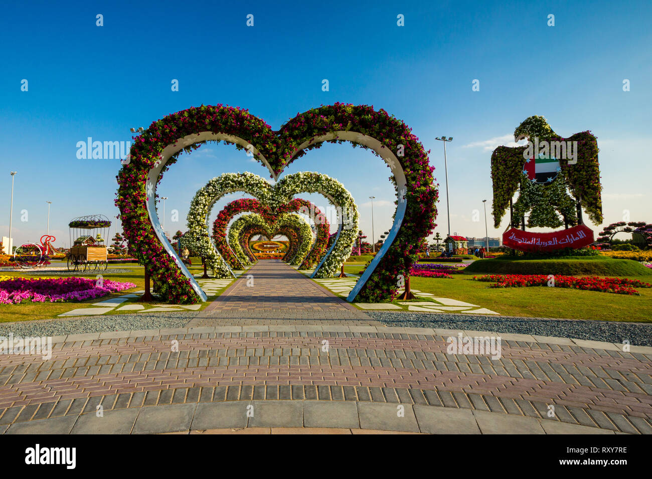 Miracle garden in dubai hi-res stock photography and images - Alamy