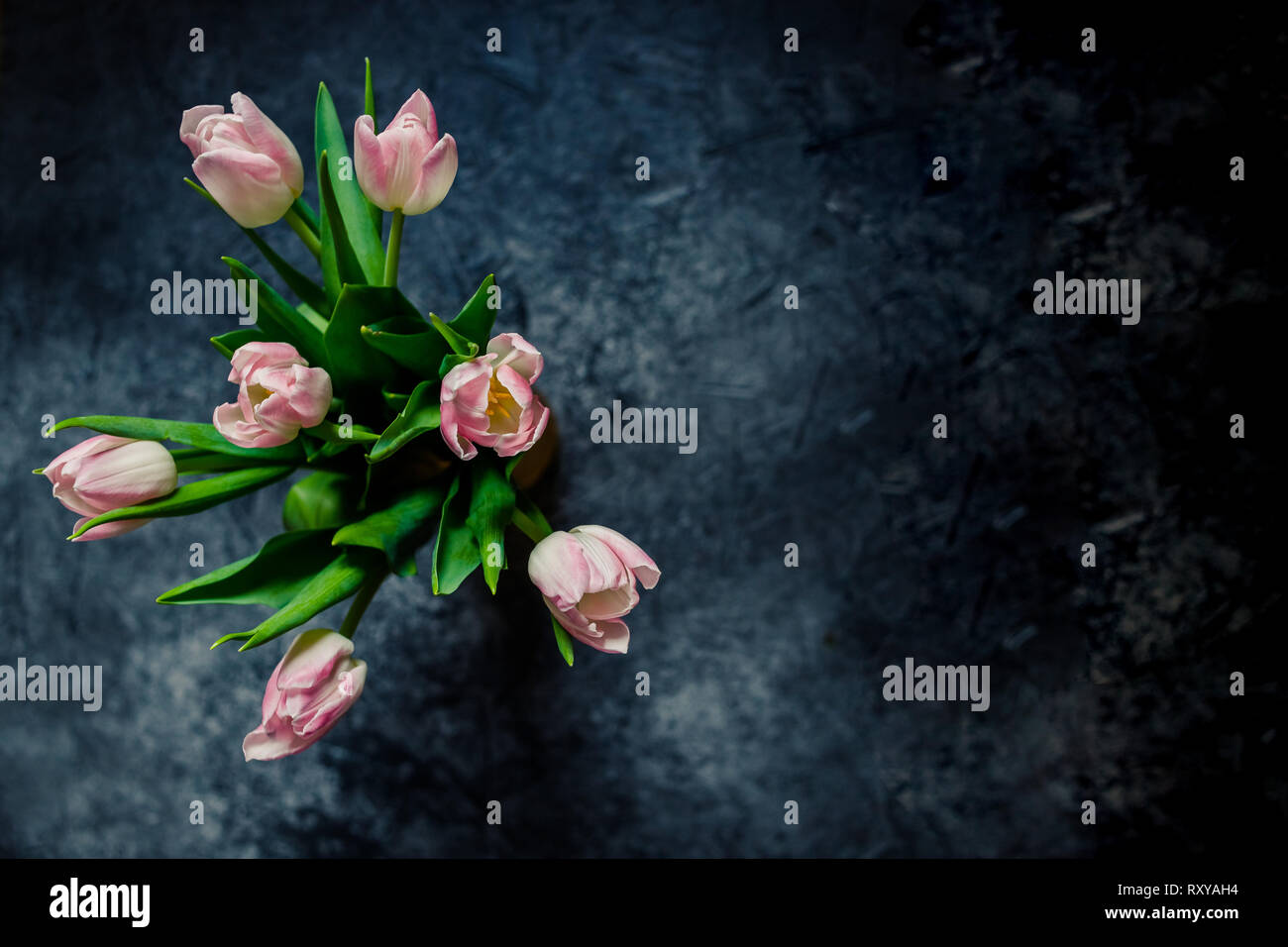 bunch of beautiful easter tulips isolated over dark background ...