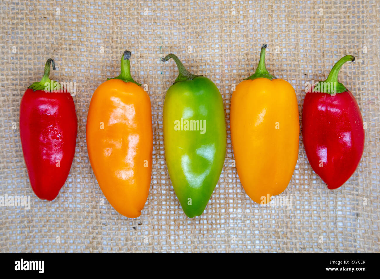 Capsicum cooking hi-res stock photography and images - Alamy