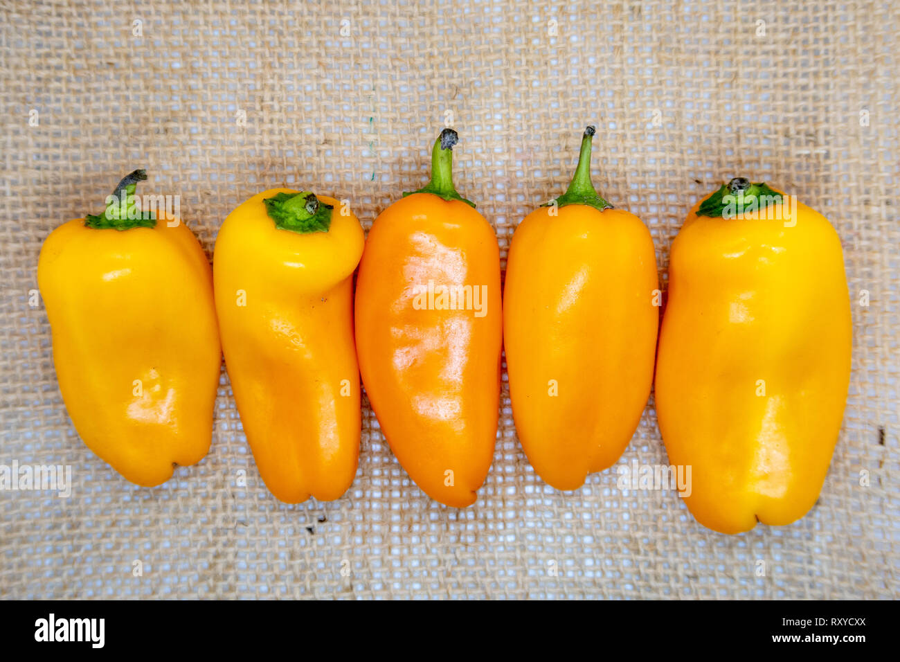 Orange yellow capsicums sweet pepper hi-res stock photography and ...