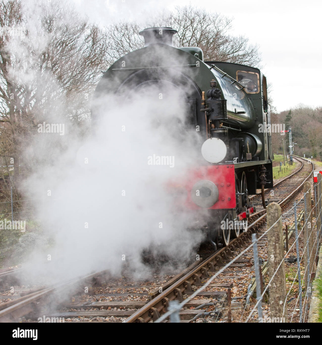 Saddletank steam locomotive, in steam Stock Photo - Alamy