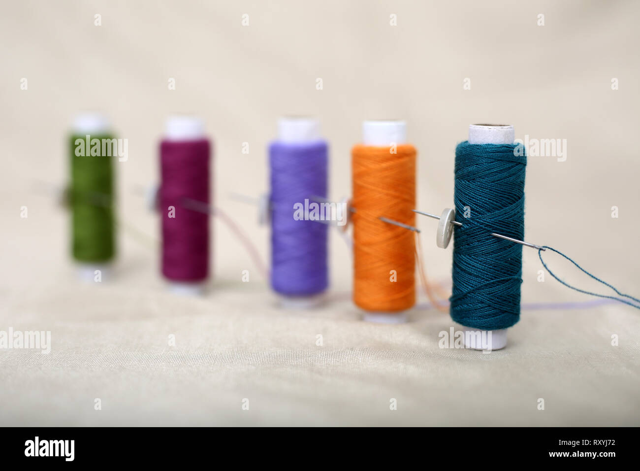 Portrait of sewing thread and needle on the cloth Stock Photo - Alamy