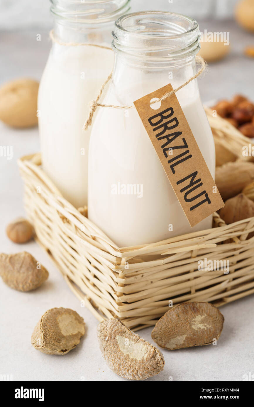 Brazil nut milk in a bottle with tag and raw ingredients. Light ...