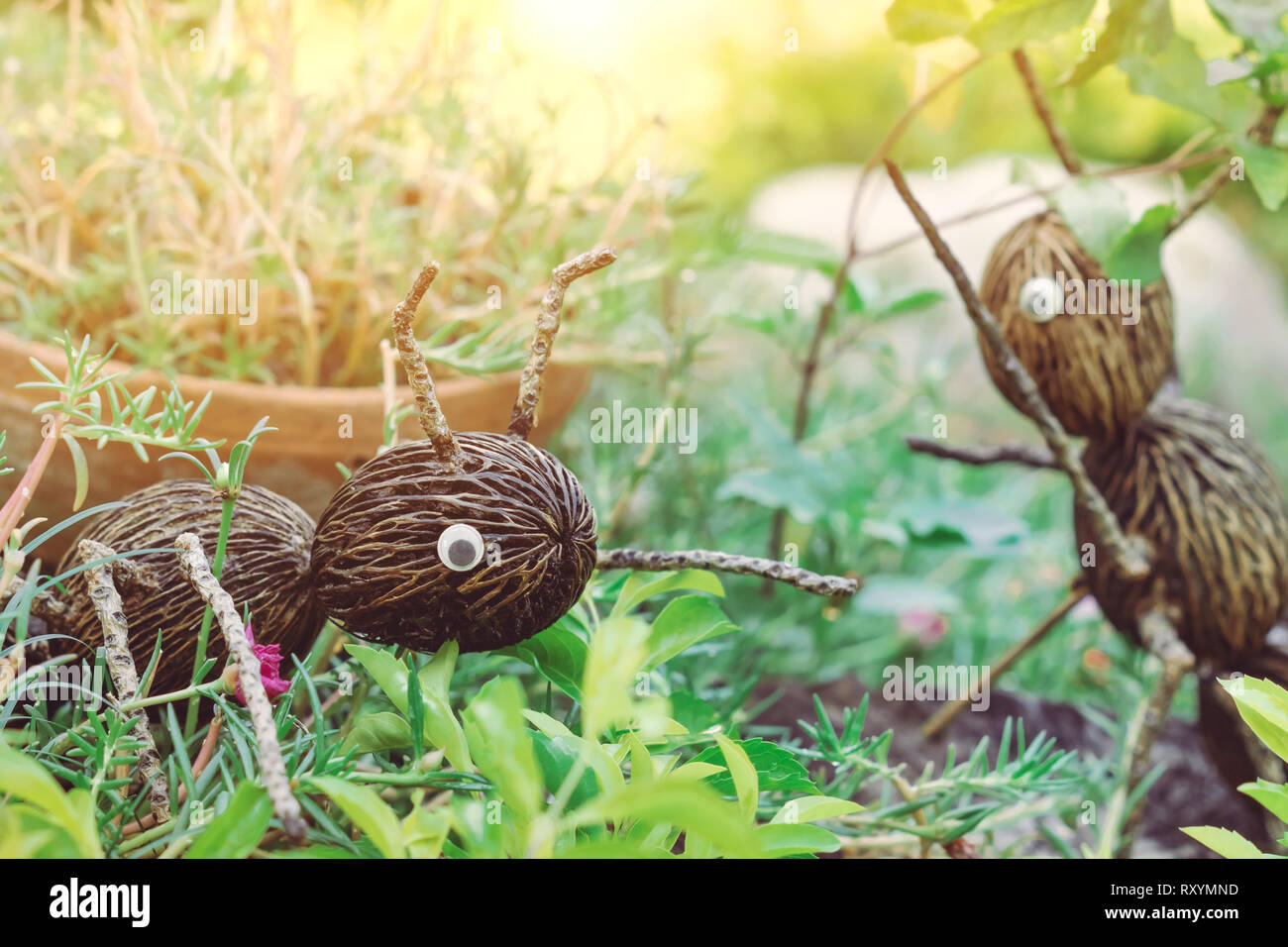 An artificial ant statue made from coconut, decorated on trees in the ...