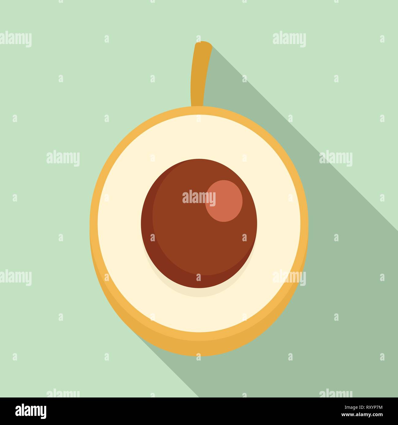 Longan icon. Flat illustration of longan vector icon for web design ...