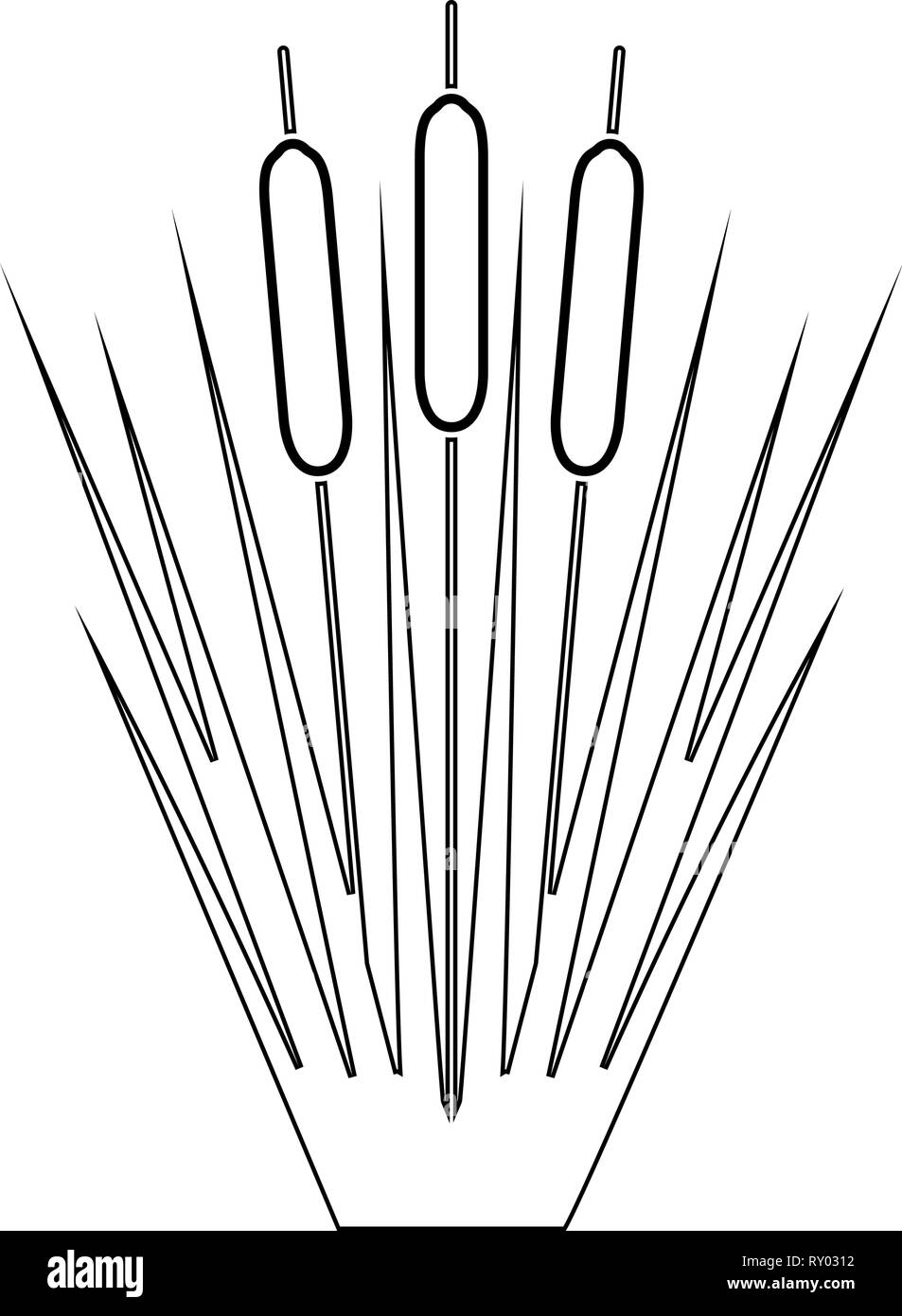 Reed Bulrush Reeds Club-rush ling Cane rush icon black color outline ...