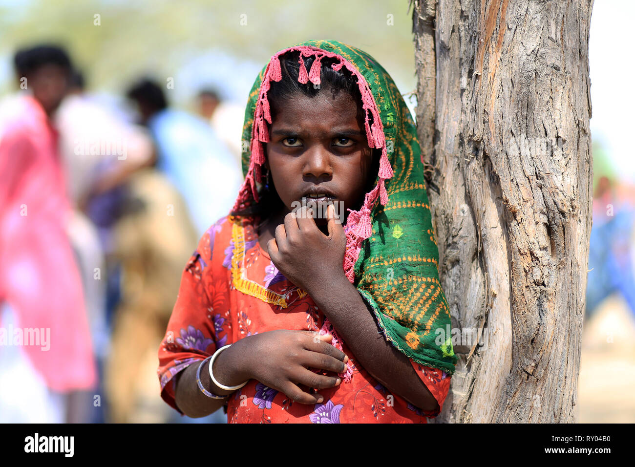 Tharparkar hi-res stock photography and images - Alamy