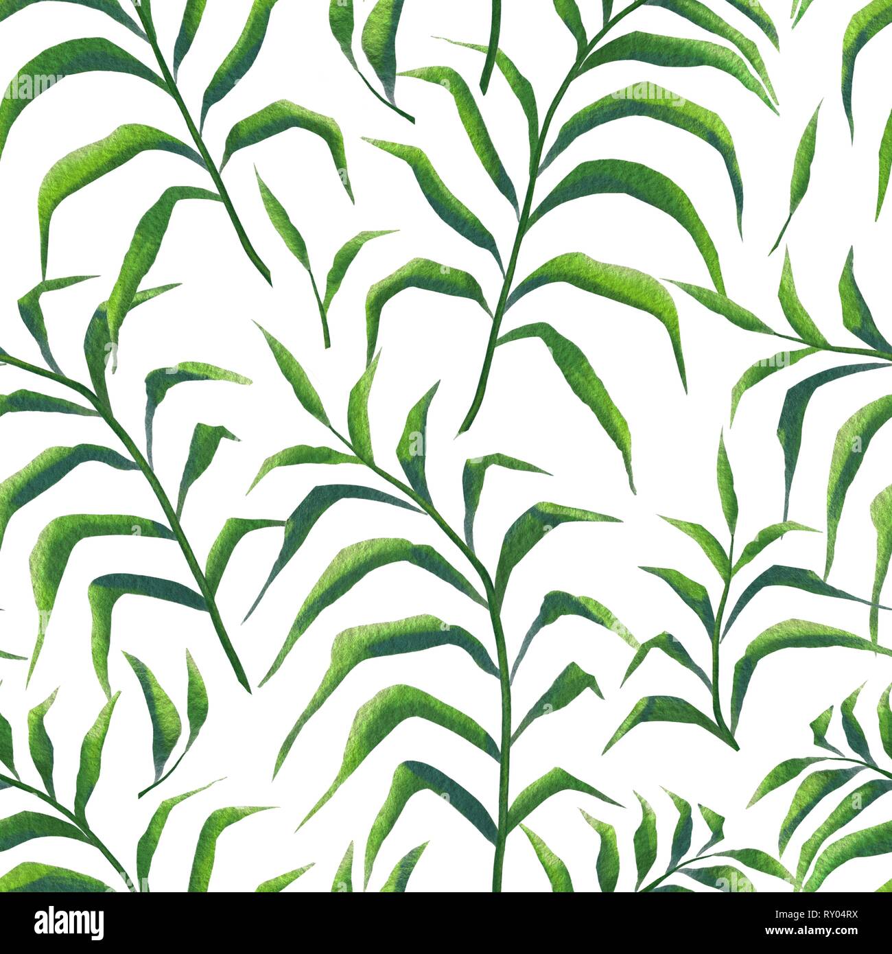 Seamless pattern. Palm leaves 5 Stock Photo - Alamy