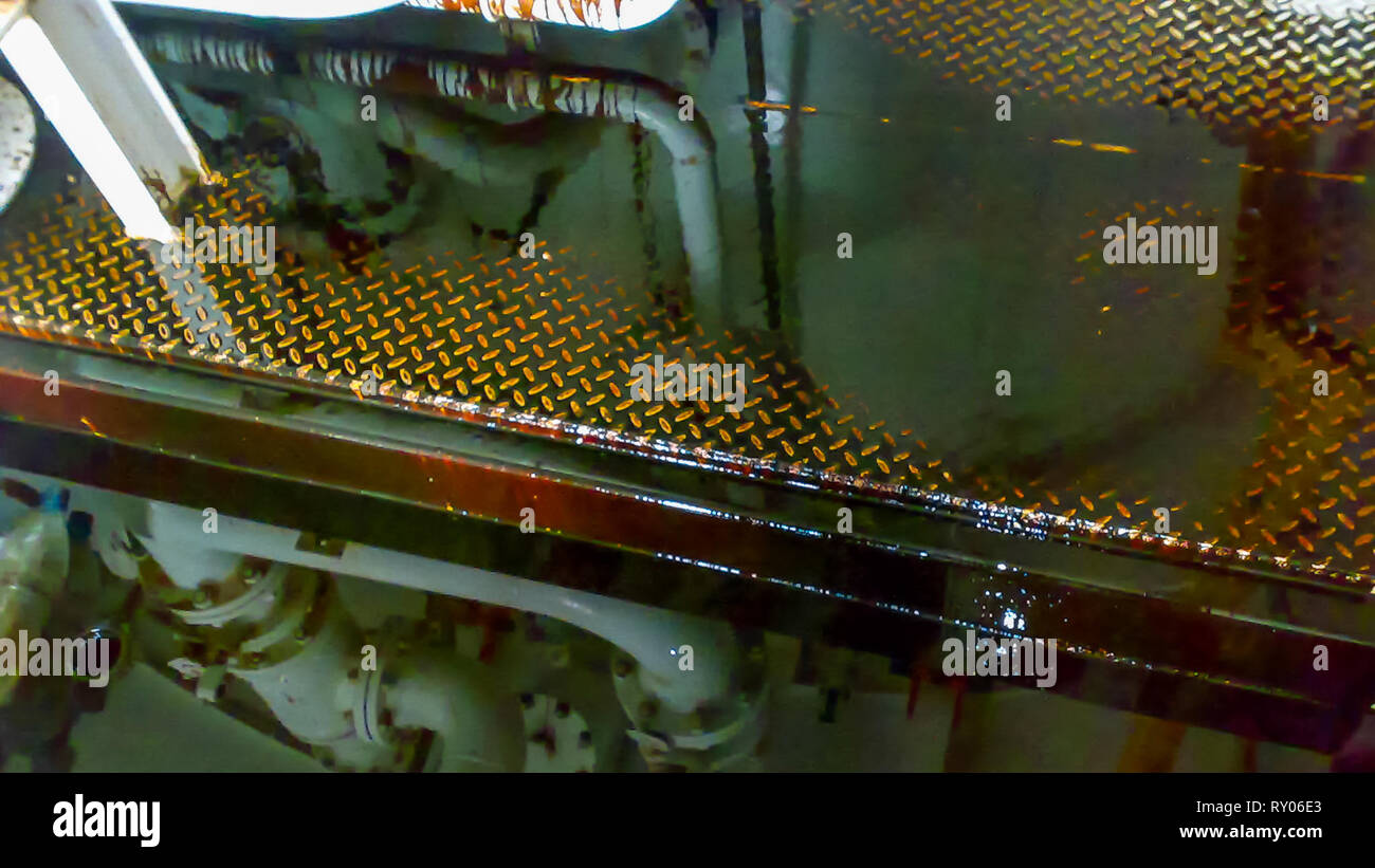 The floor of the control unit of the device is a hitter-tritter filled ...