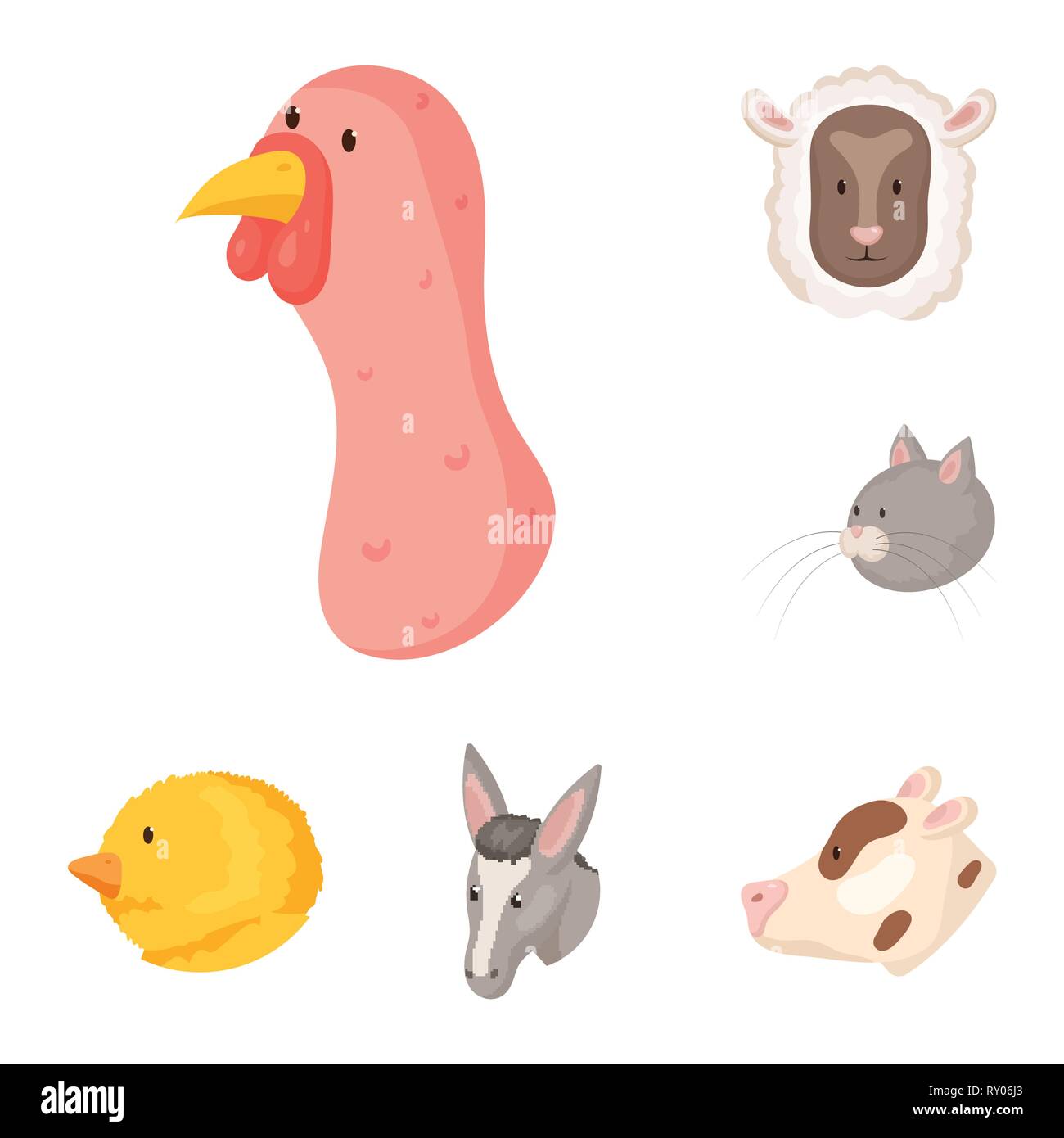 Mule pig hi-res stock photography and images - Alamy