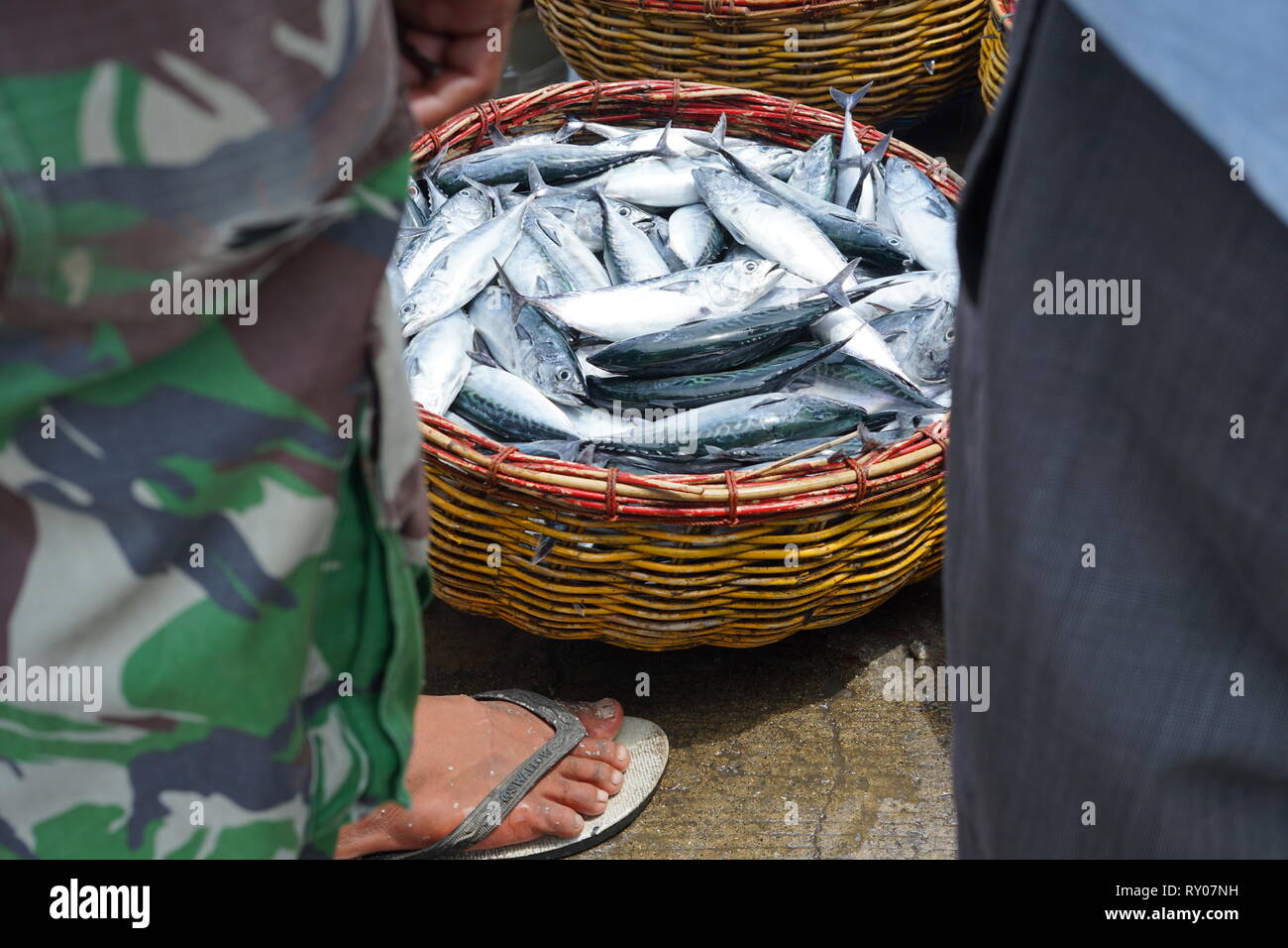 Selection of fresh Mackerel fish for sale at Seafood Market Stock Photo ...