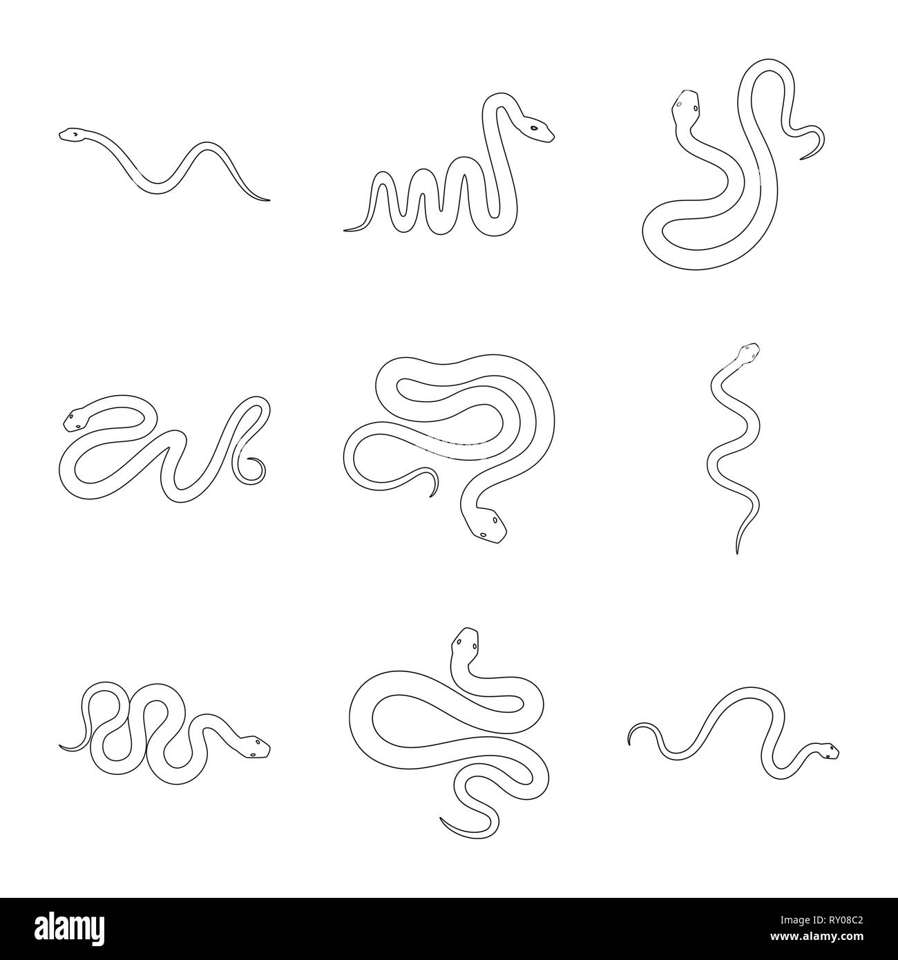 Snake viper amphibian animal Black and White Stock Photos & Images - Alamy