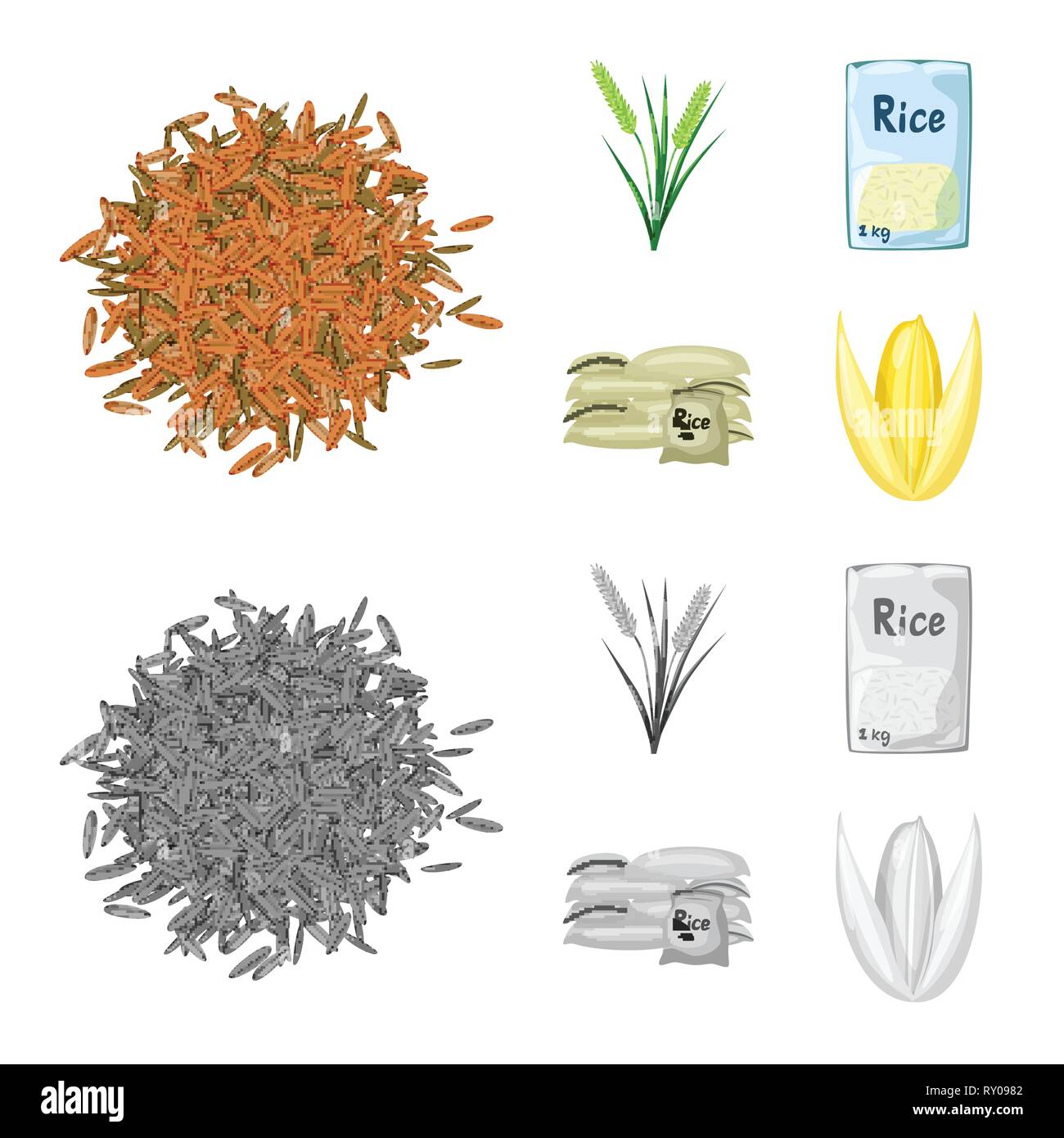 grain,packet,bag,rice,unpolished,leaf,white,seed,garden,wholesale ...