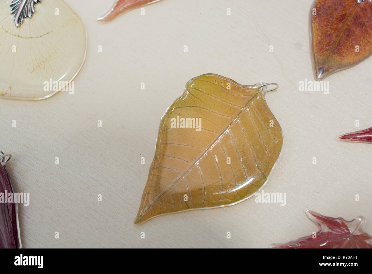 pendant with beautiful dry leaf inside resin Stock Photo - Alamy