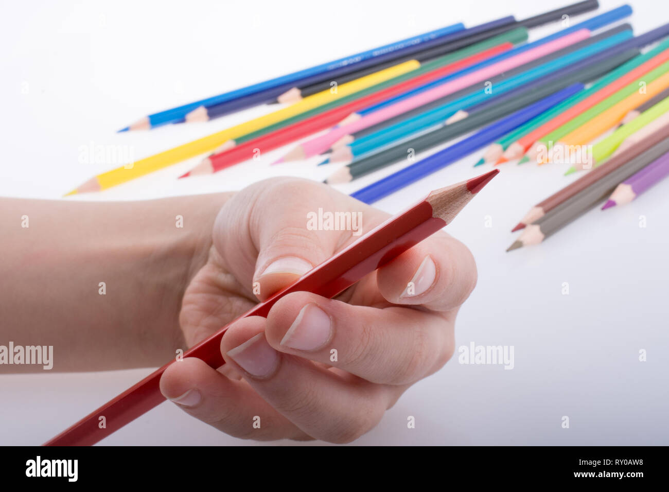 Hand holding color pencils on a white background Stock Photo - Alamy