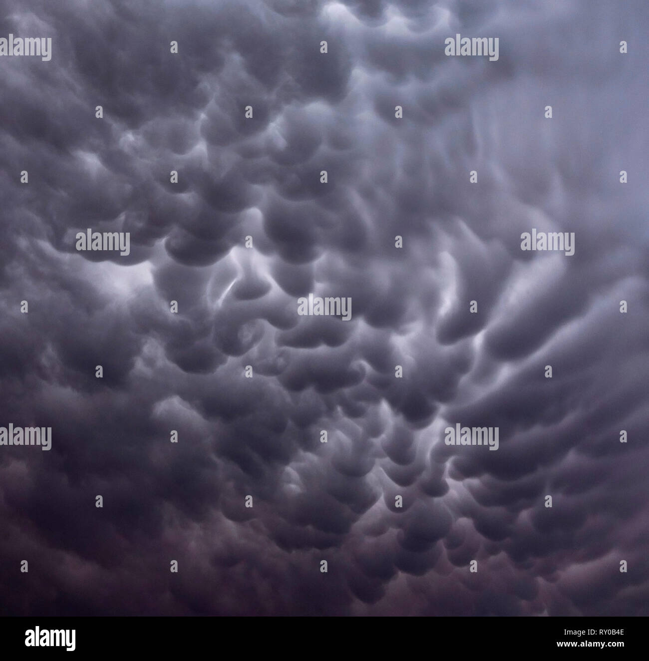 Cumulonimbus cloud storm rain hi-res stock photography and images - Alamy