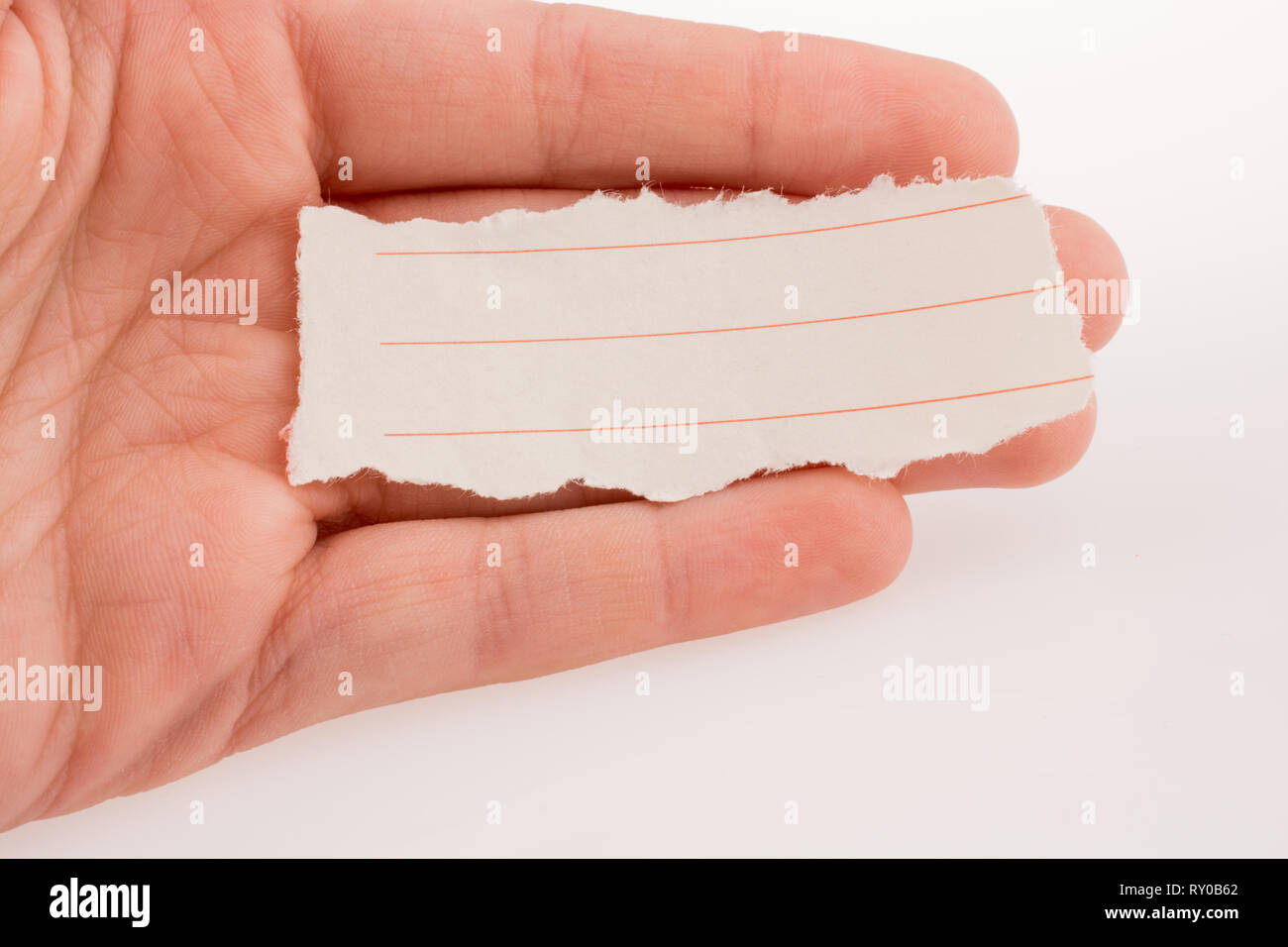 Hand holding a piece of torn lined paper on a white background Stock ...
