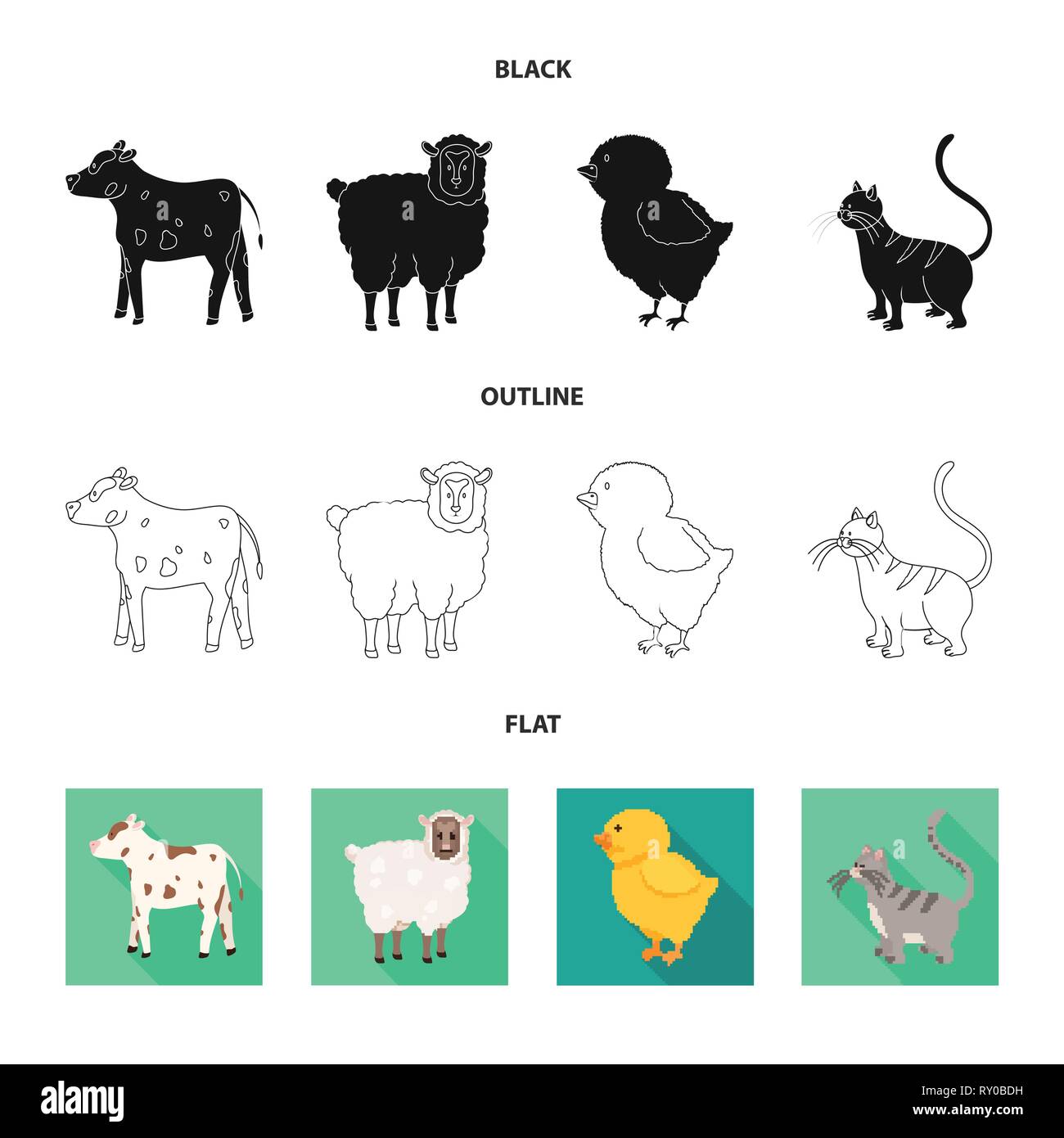 cow,sheep,chick,cat,heifer,pet,easter,kitten,cheese,animal,chicken,milk ...