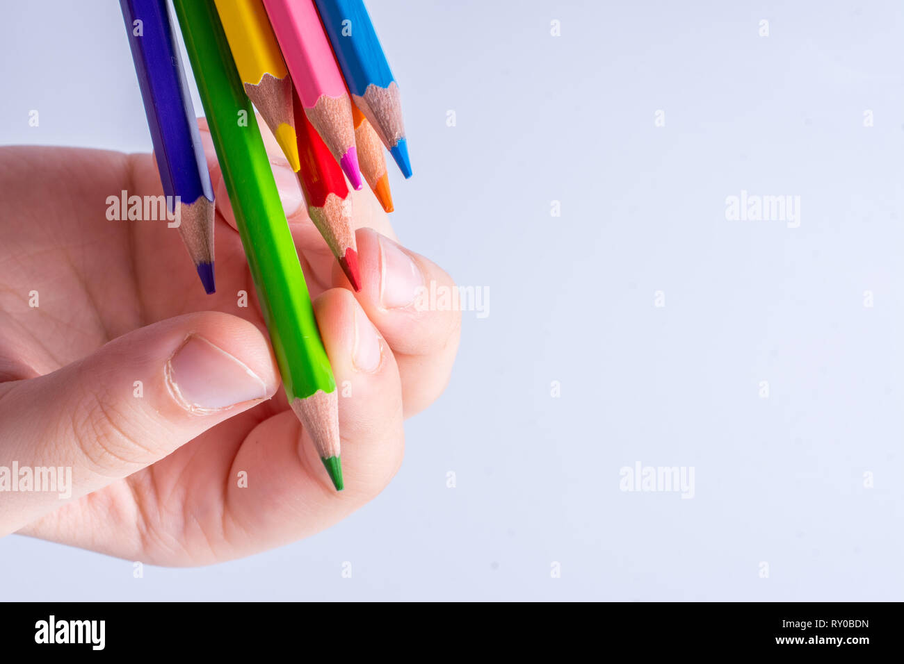 Hand holding color Pencils placed on a white background Stock Photo - Alamy