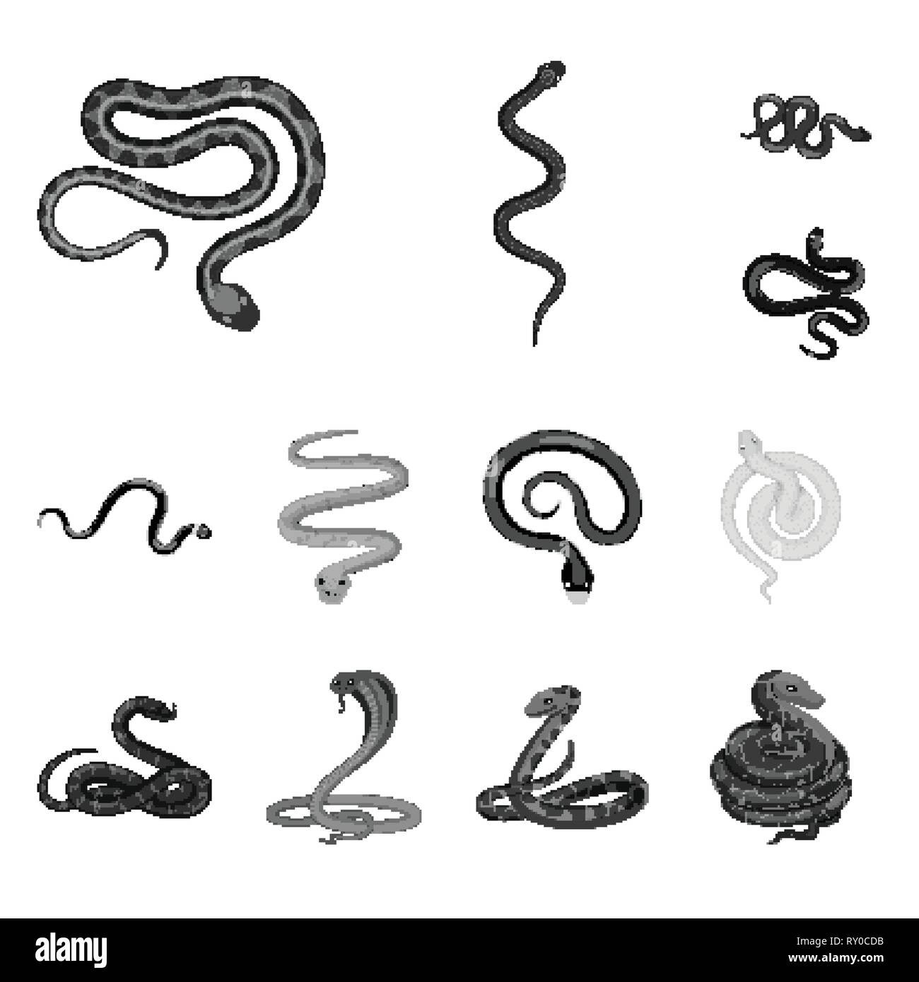 viper,snake,amphibian,animal,anaconda,cobra,tail,wild,coral,white ...