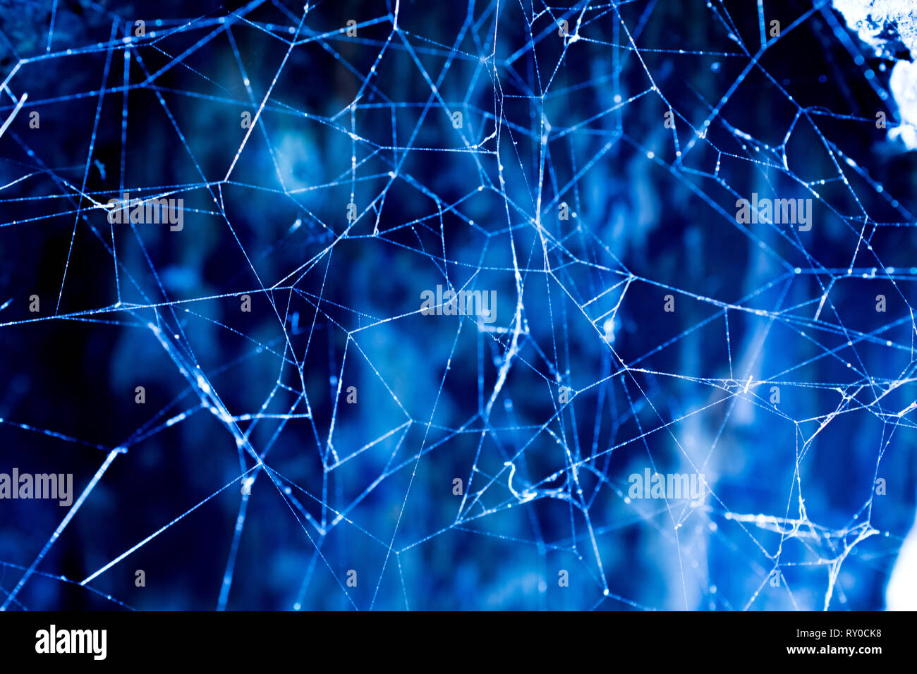 Spider web inside a cave in the view Stock Photo - Alamy