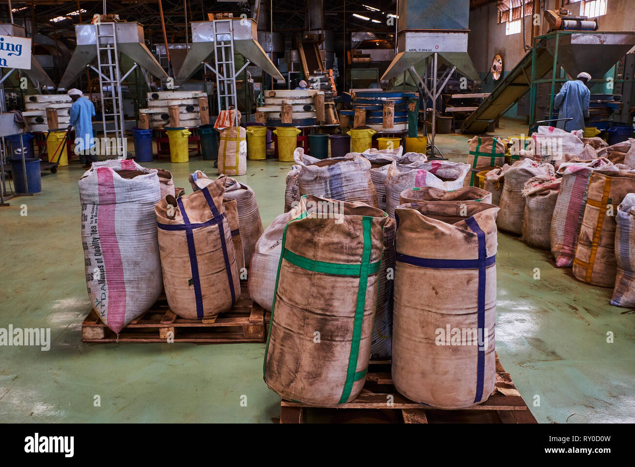 Kenya, Kericho county, Kericho, Momul tea factory of Kenya Tea ...