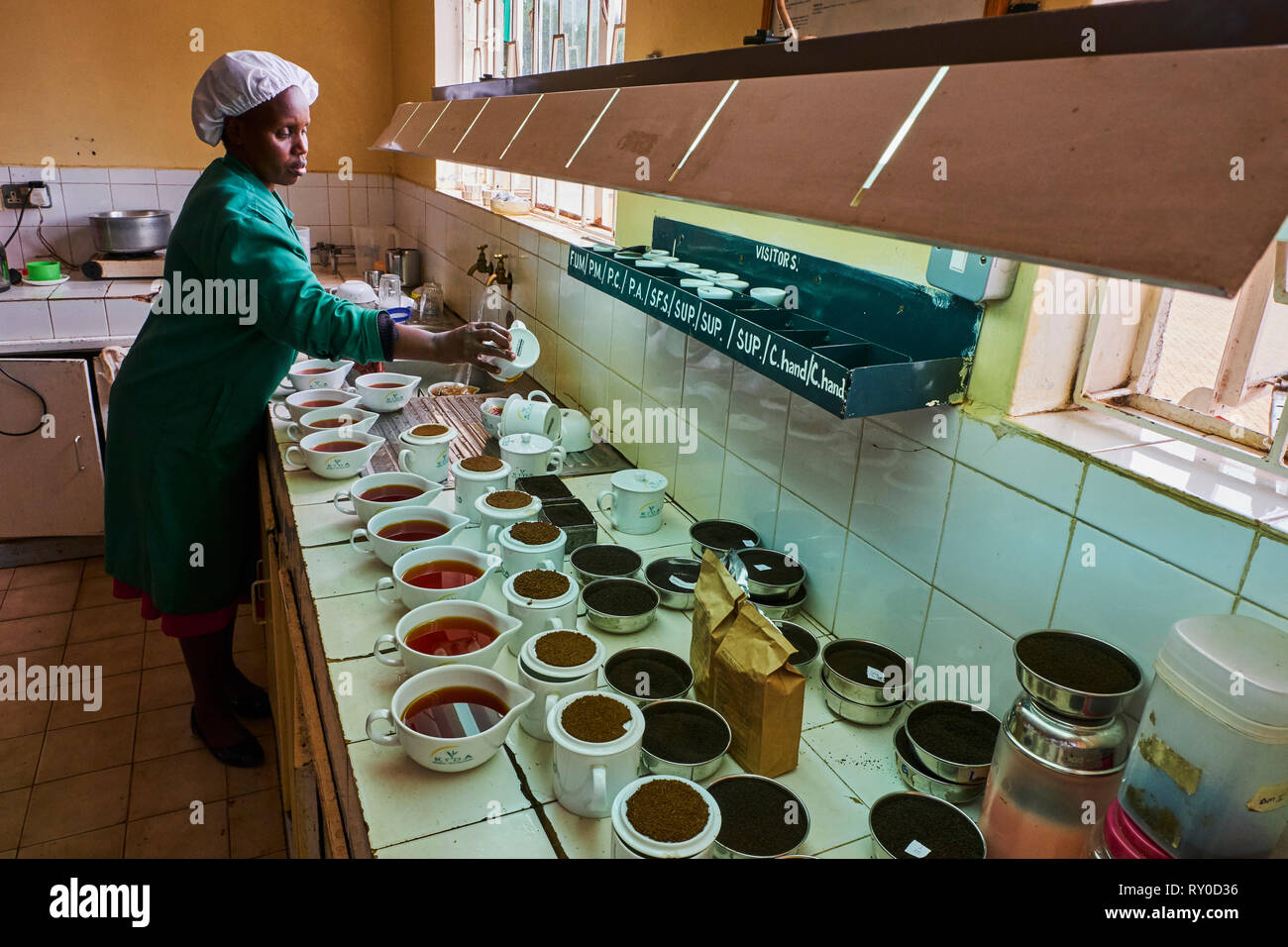Kenya, Kericho county, Kericho, Momul tea factory of Kenya Tea ...