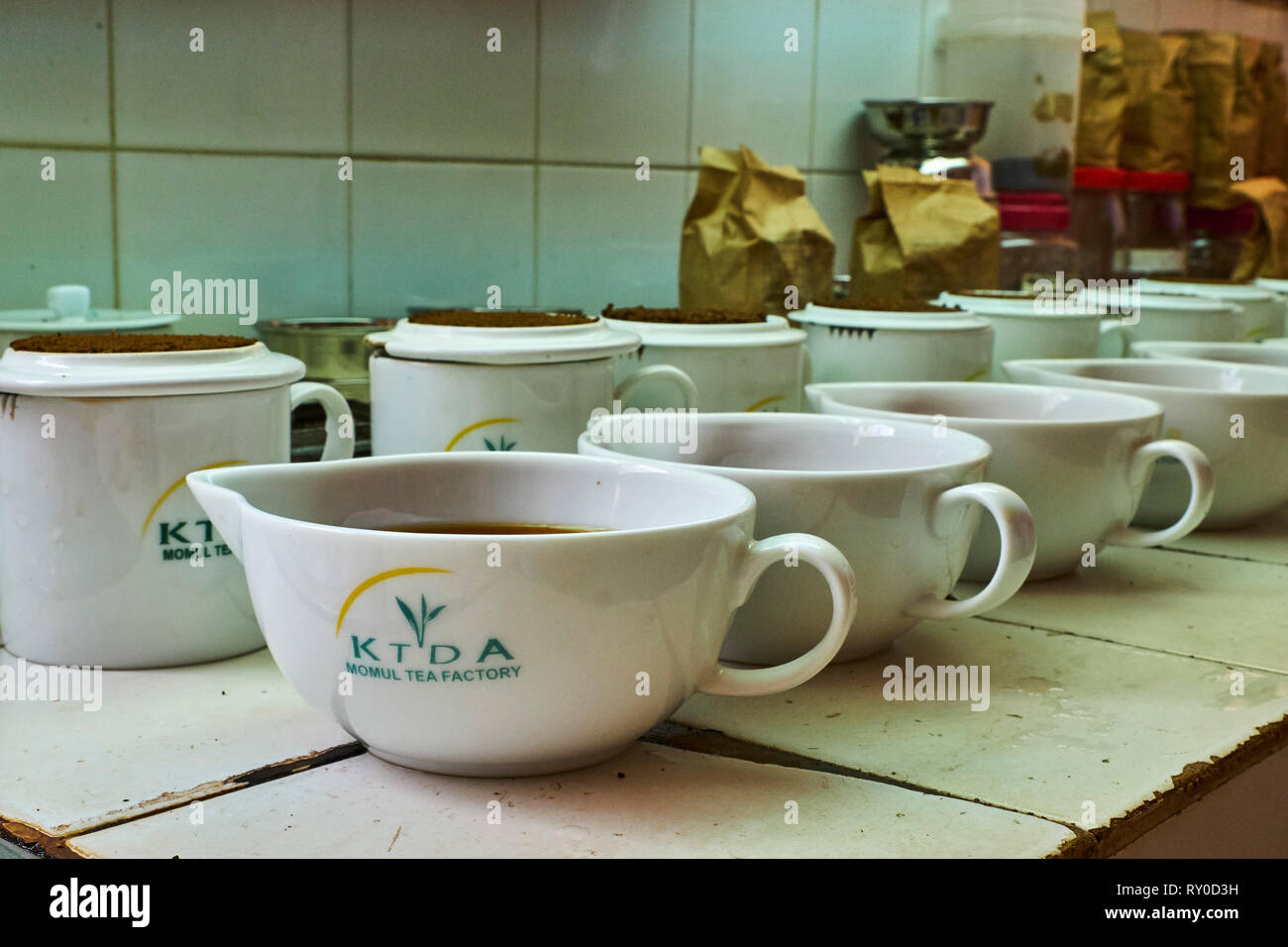 Kenya, Kericho county, Kericho, Momul tea factory of Kenya Tea ...