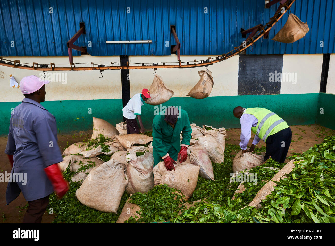 Agriculture africa factory hi-res stock photography and images - Alamy