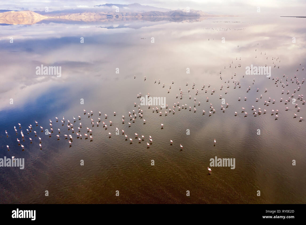Maharlu Lake High Resolution Stock Photography and Images - Alamy