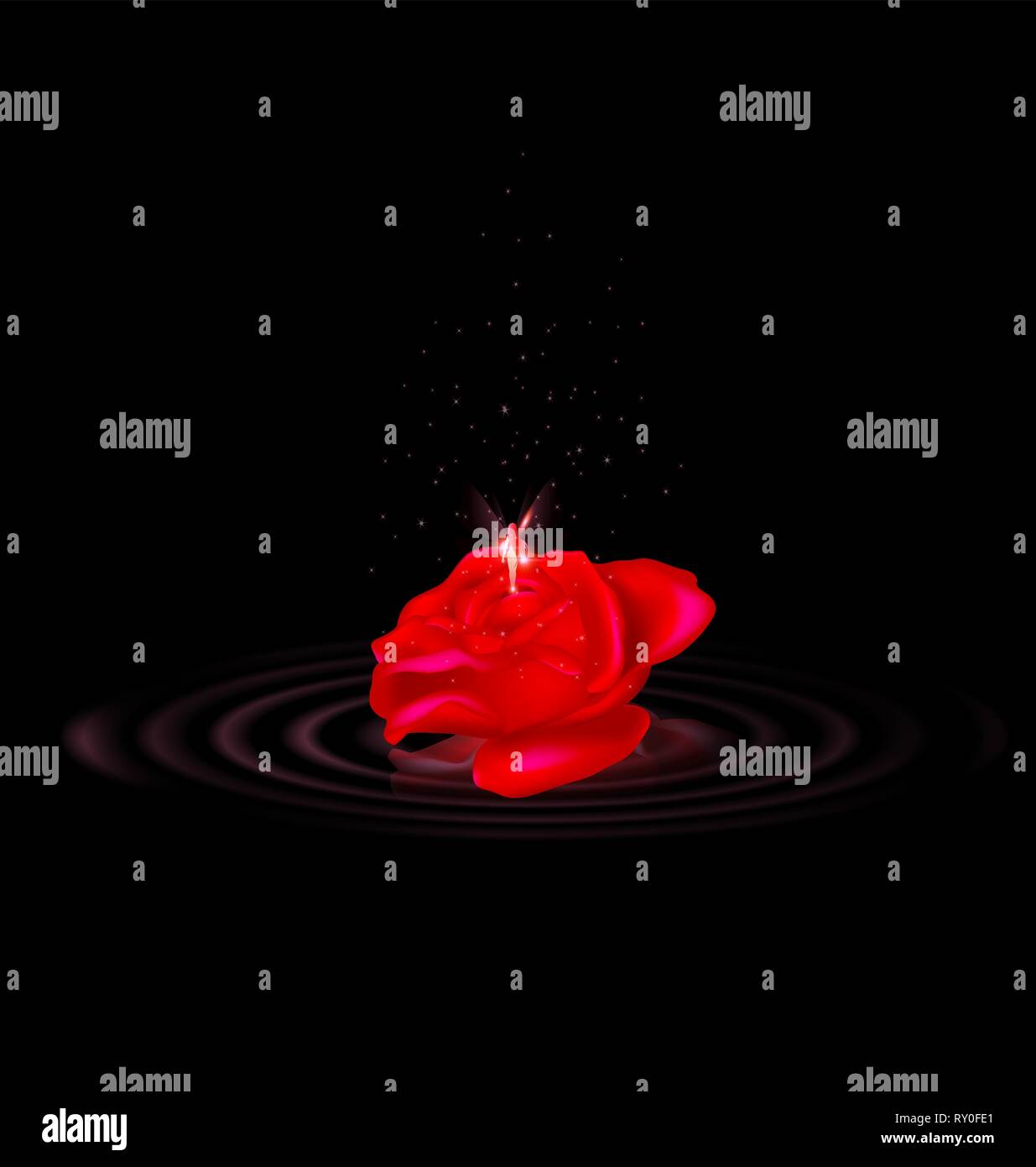 Black magic red rose hi-res stock photography and images - Alamy