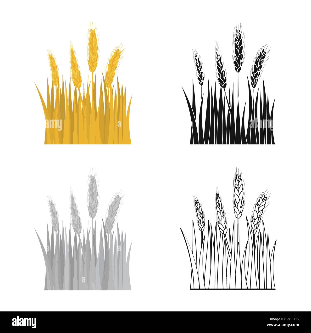 spring,spike,barley,land,cornfield,crop,countryside,autumn,ripe,bread ...