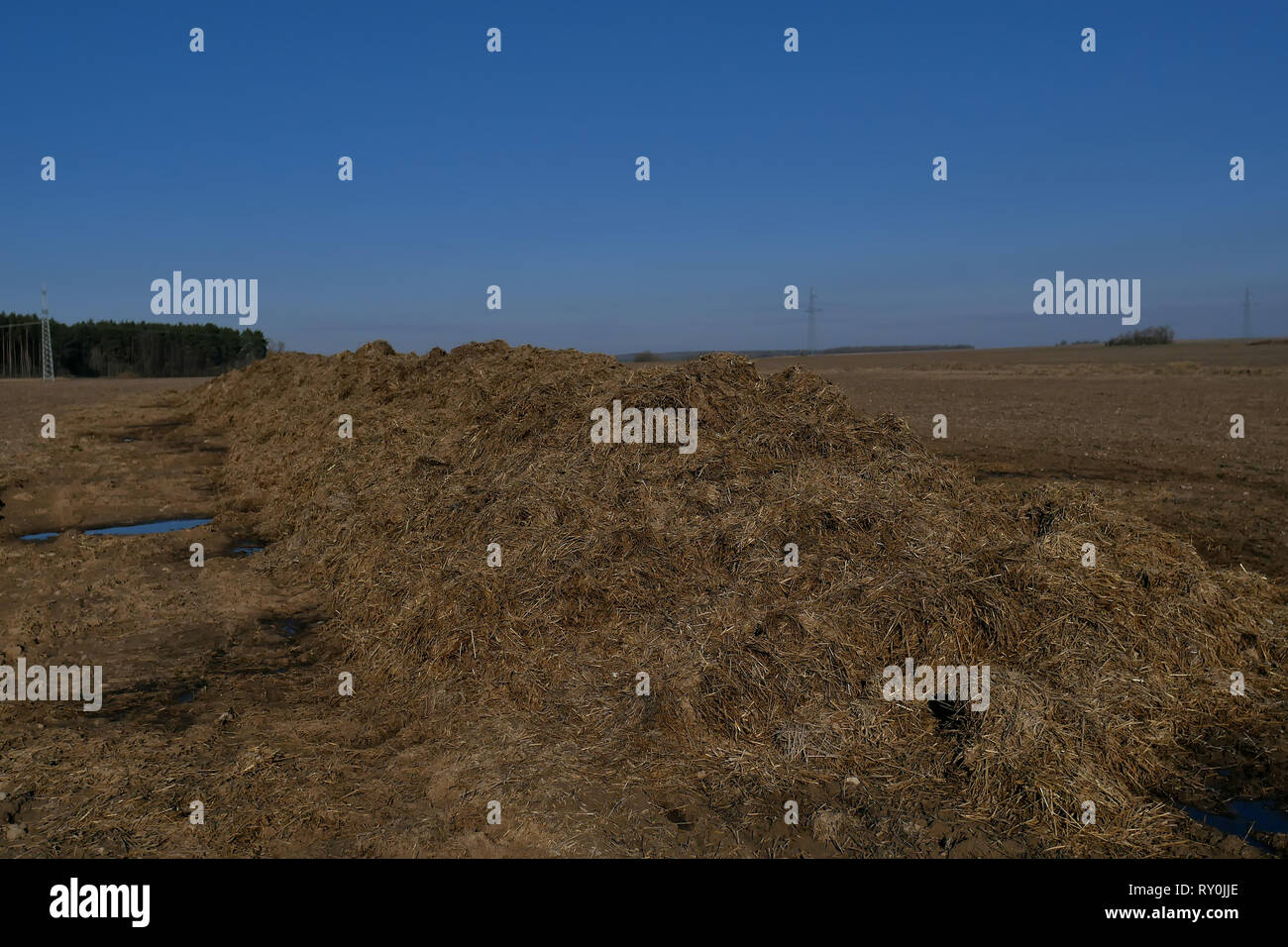 Fermented organic fertilizer, Fertilizer for agriculture Stock Photo ...