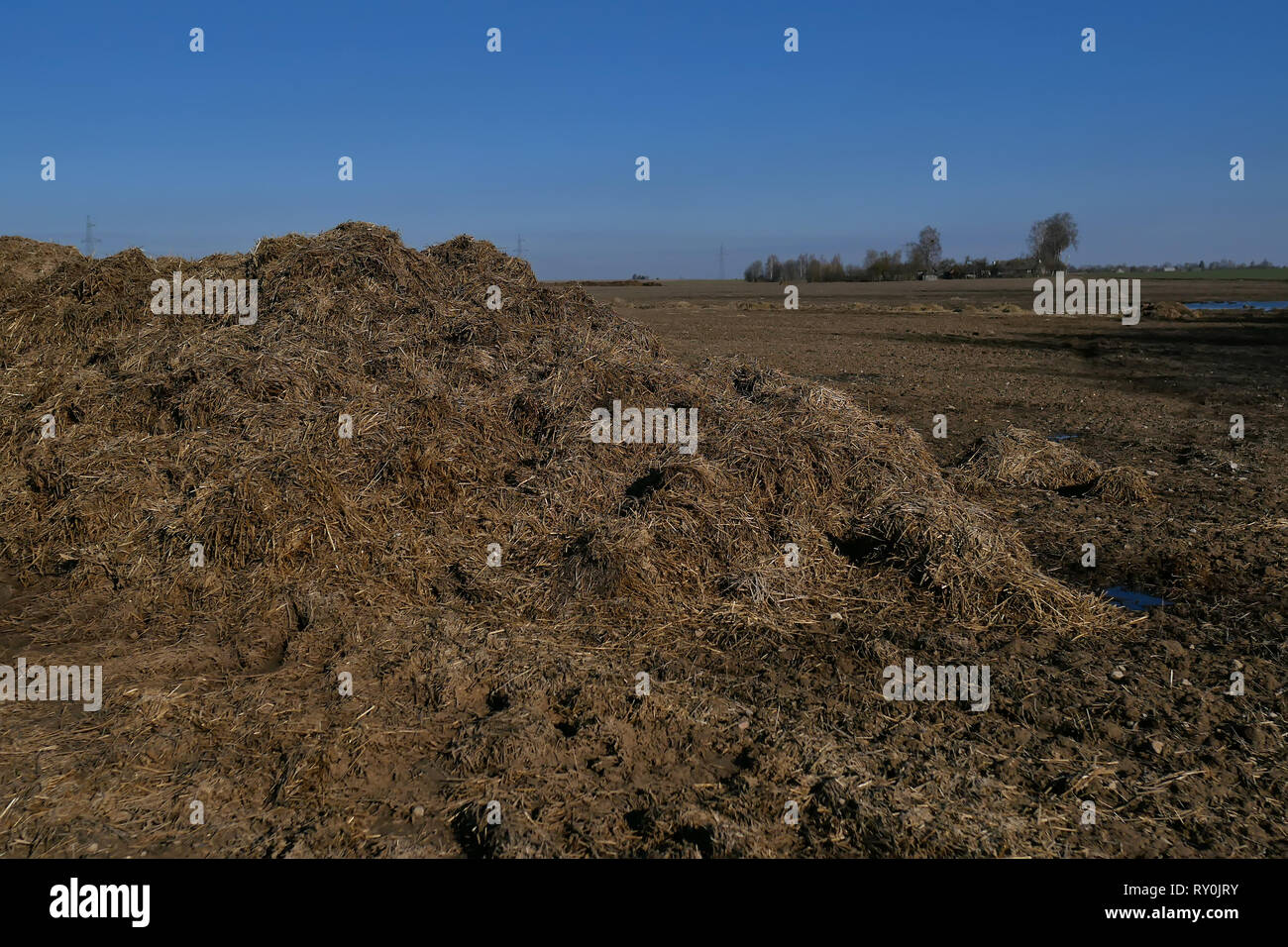 dark brown humus in forest soil background Stock Photo - Alamy