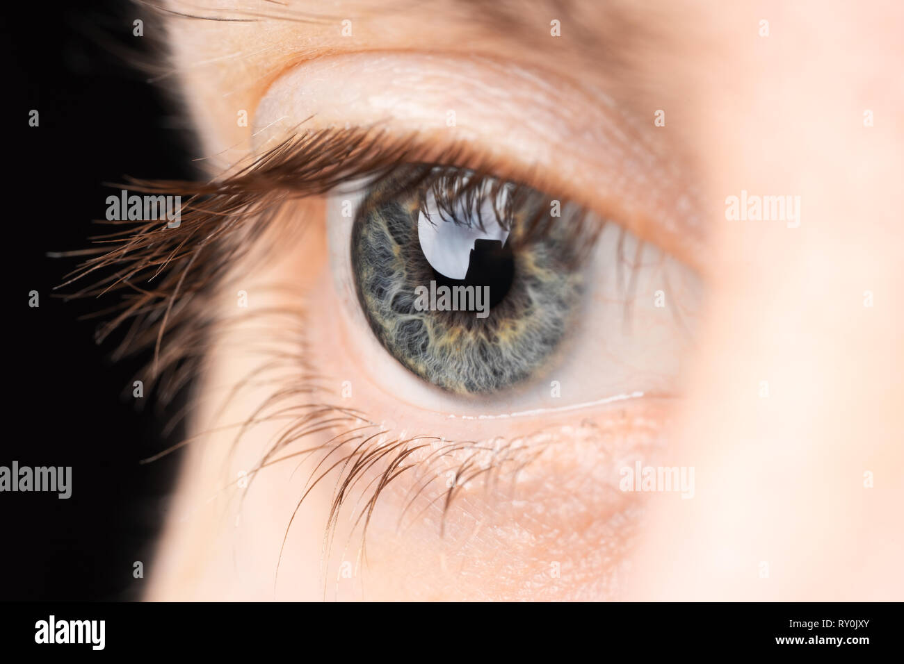 Iridology hi-res stock photography and images - Alamy