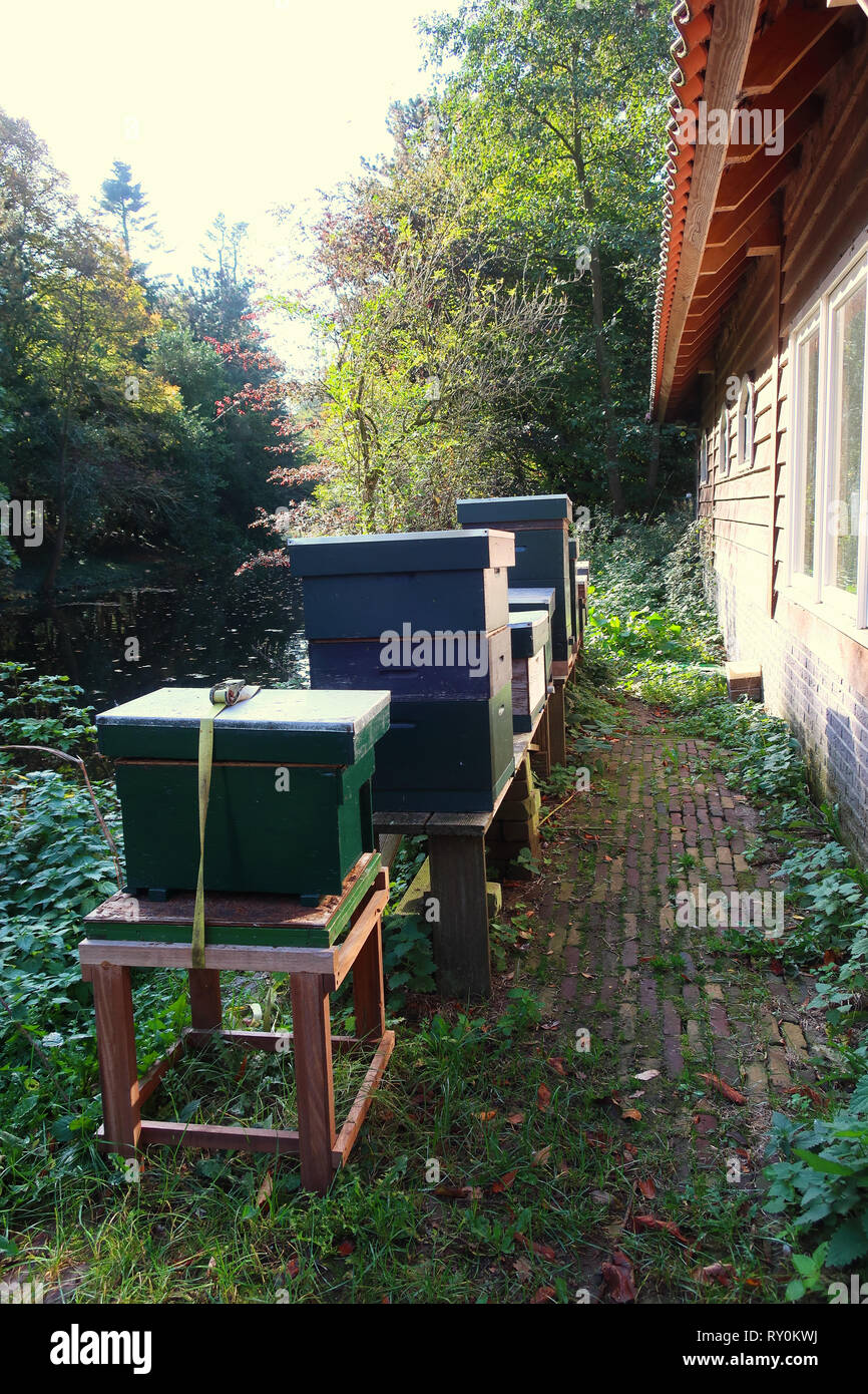 Beekeeping boxes at the back of a barn Stock Photo - Alamy