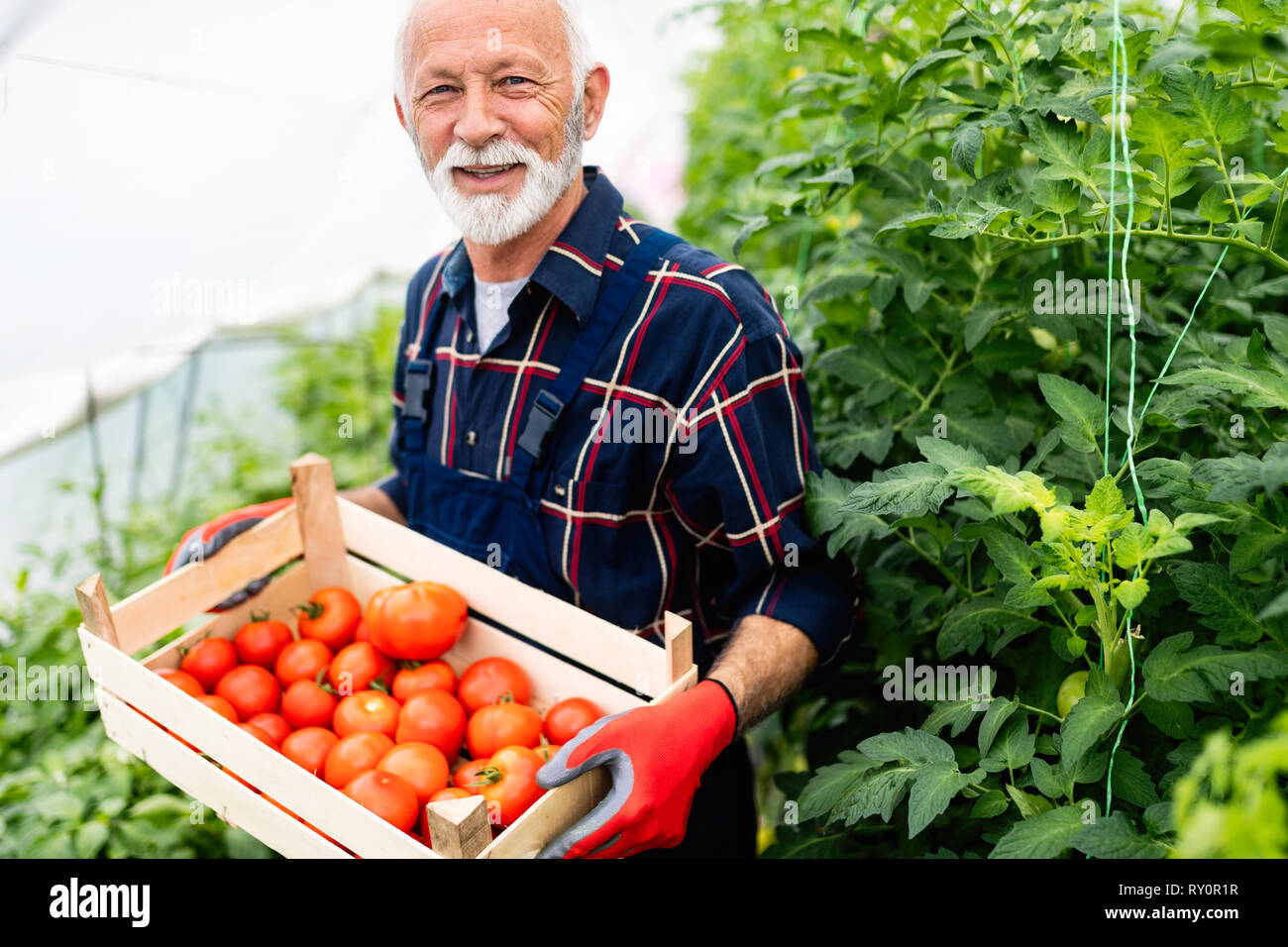 Man farm hi-res stock photography and images - Alamy