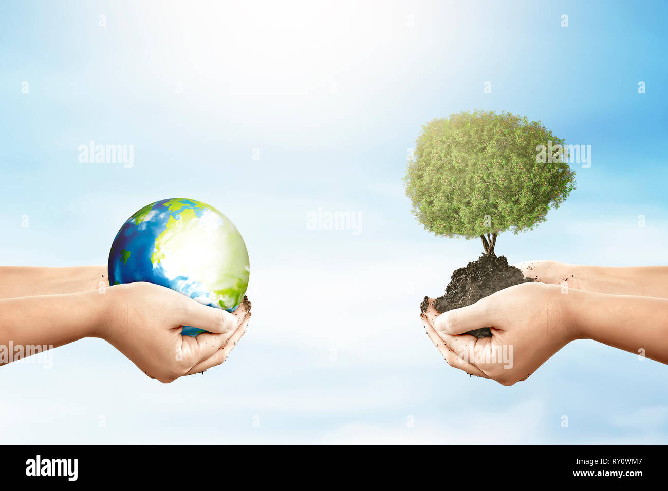 Two human hands holding earth planet and young tree on fertile soil ...
