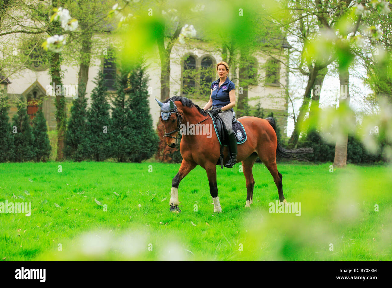 Reiterin hi-res stock photography and images - Alamy