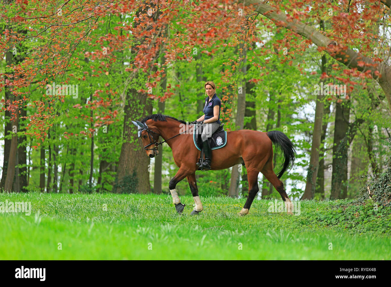 Reiterin hi-res stock photography and images - Alamy