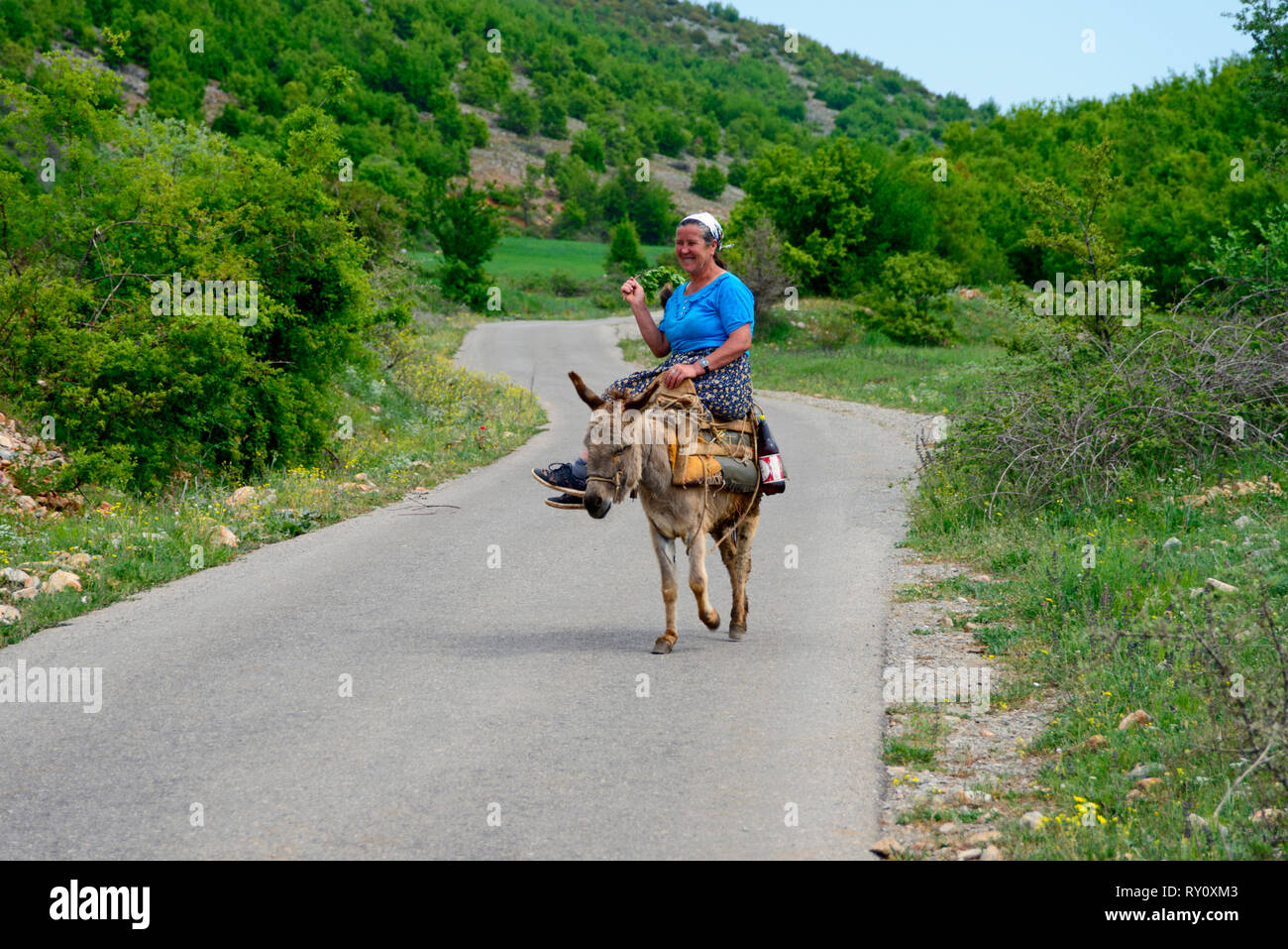 Woman riding donkey hi-res stock photography and images - Alamy