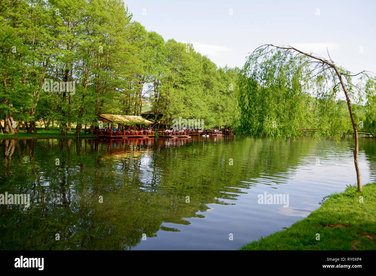 Drilon national park hi-res stock photography and images - Alamy