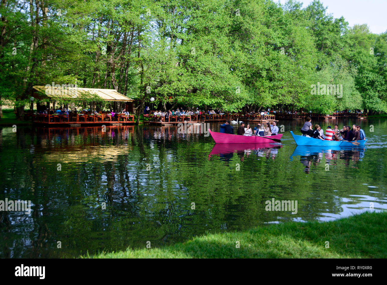 Driloni nationalpark hi-res stock photography and images - Alamy