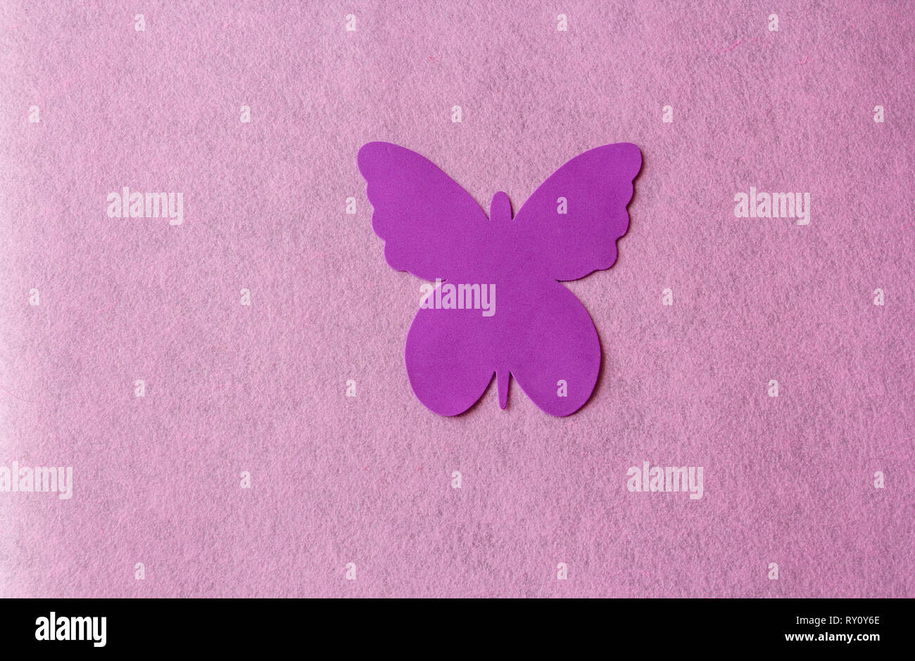 Violet butterfly made of soft material on a pink rag background Stock ...