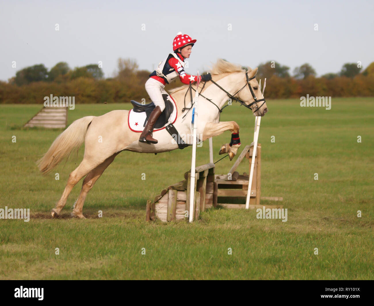 Horse on the cross country course Stock Photo - Alamy
