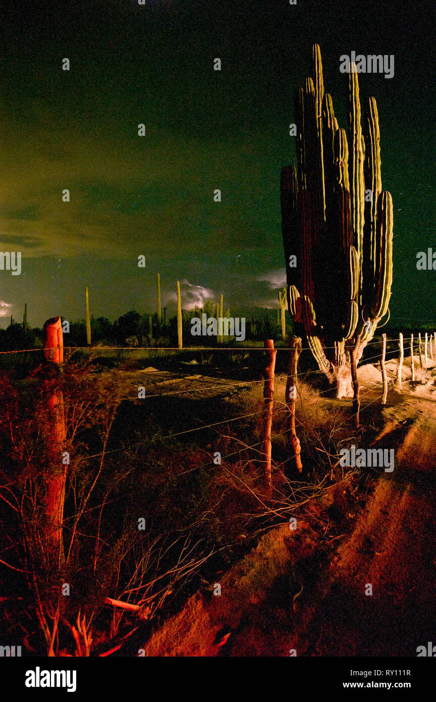 Caborca sonora hi-res stock photography and images - Alamy