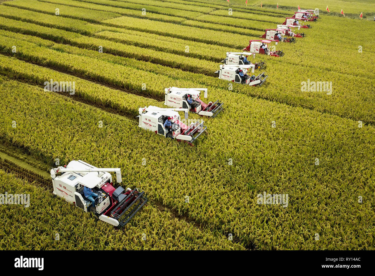 Huanghuatang hi-res stock photography and images - Alamy