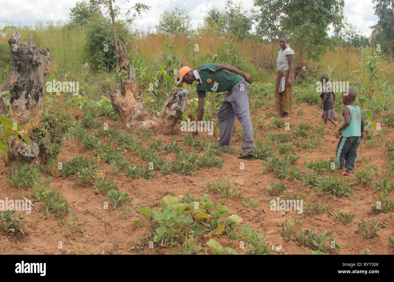 Macheke zimbabwe hi-res stock photography and images - Alamy