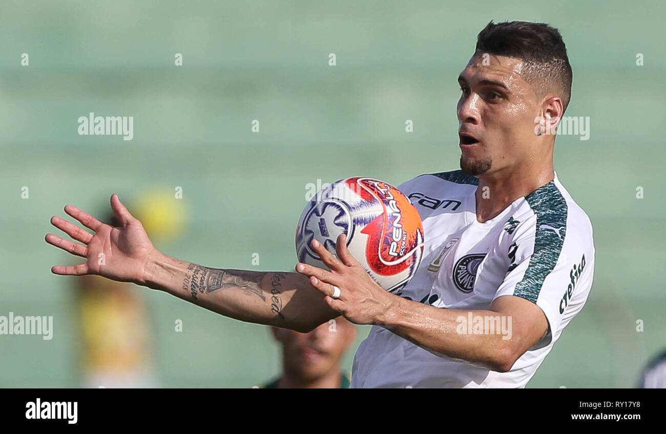 Mirassol, Brazil. 09th Mar, 2019. The player Moisés, of SE Palmeiras ...
