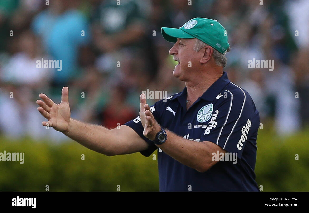 Mirassol, Brazil. 09th Mar, 2019. The coach Felipão, of SE Palmeiras ...